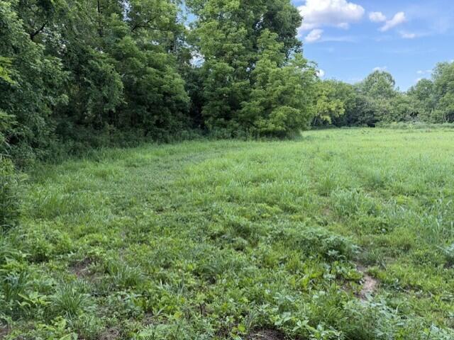 113 Lee's Creek Road