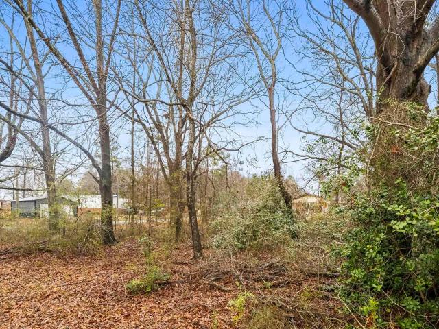 113 Mcneese Drive # Lot 2