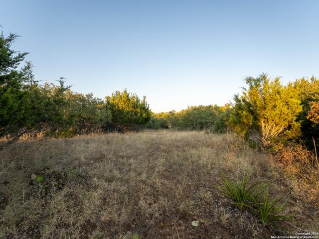 113 N John Bird, Blanco, TX 78606 | MLS #1816