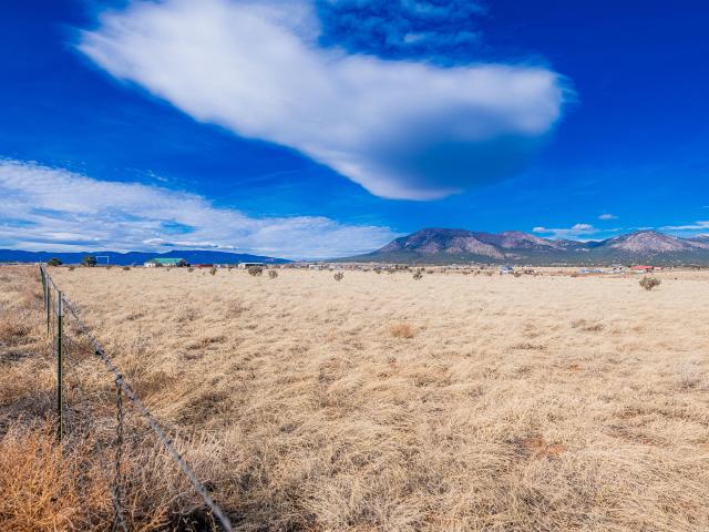 113 New Mexico 472