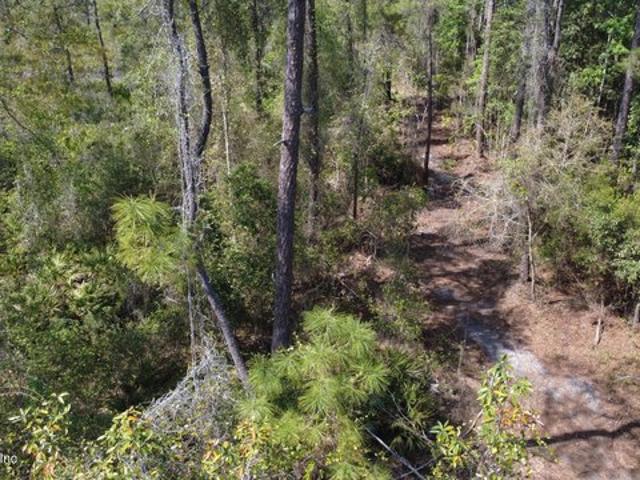 113 Seminole Pl, Satsuma, FL 32189
