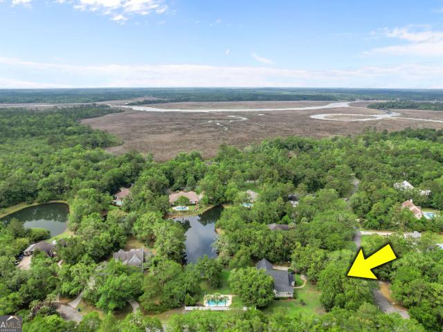 113 Serenoa Drive