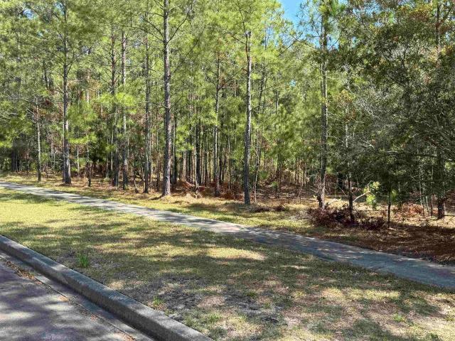113 Pineberry Dr, Georgetown, SC 29440 | MLS #2608