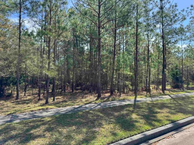 113 Pineberry Dr