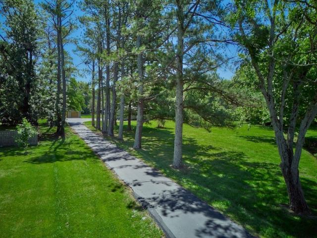 113 Rhine Dr