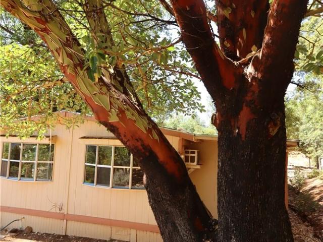 11444 Bottle Rock Rd, Kelseyville, CA 95451 | MLS #LC25164