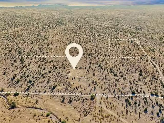 11448 N Vigil Rd, Dolan Springs, AZ 86441 MLS 019257