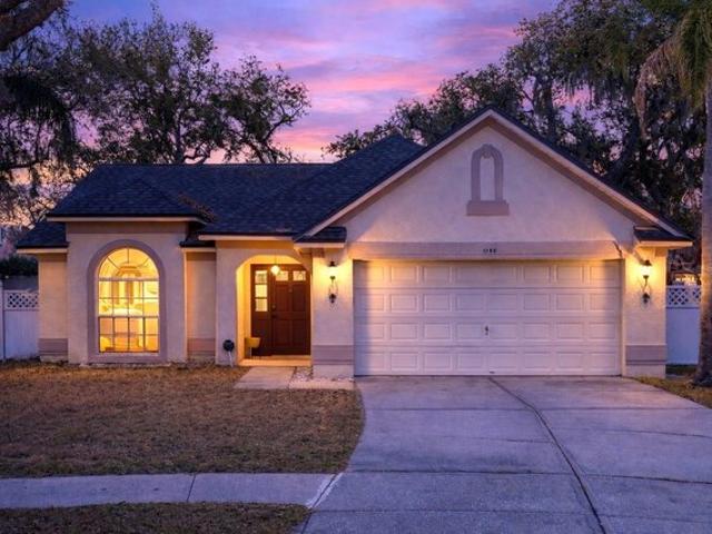 1144 Hardwood Dr, Valrico, FL 33596