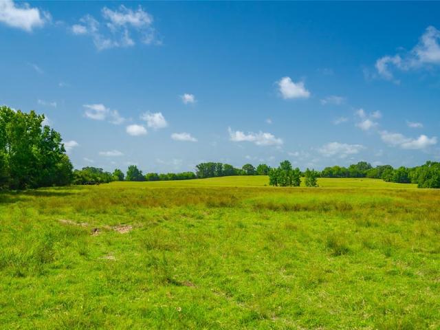1145 N Highway, Omaha, TX 75571 | MLS #21046 | Compass