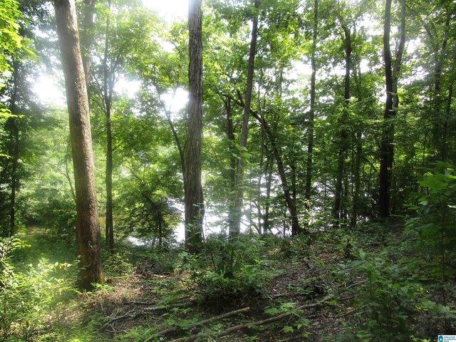 1145 County Road 759 Lots 13 & 14 and 14A, Jemison, AL 35085
