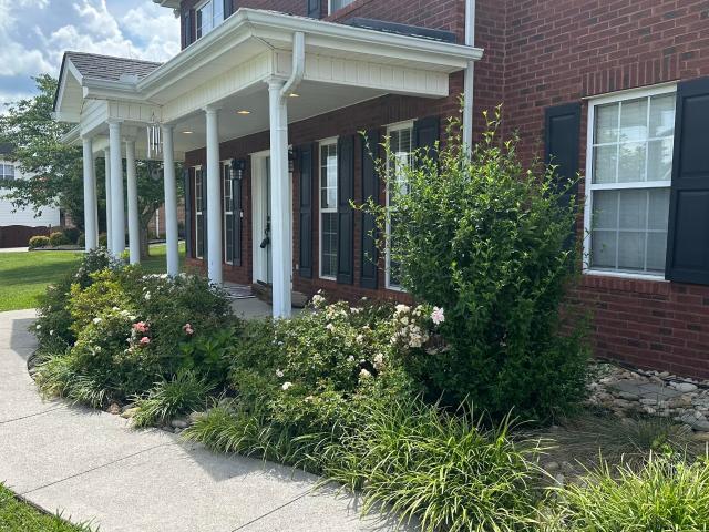 1145 Paxton Drive