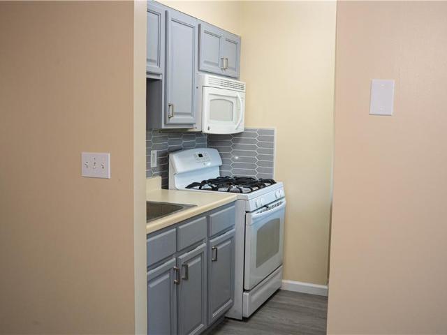 1146 Essex Street # 1
