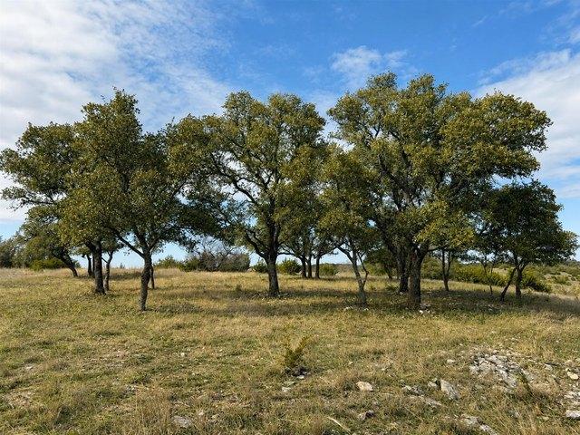 1146 Hidden Cove Trl, Glen Rose, TX 76043