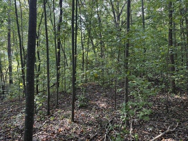 1146 Little Mountain Rd, Anderson, SC 29626
