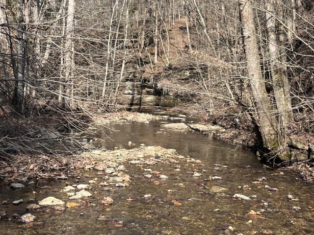 1146 Treanor Springs Rd, Kingston Springs, TN 37082 | MLS #3150