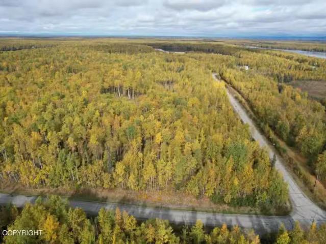 11470 N MICHIGAN ST, WILLOW, AK 99688 Vacant Land For Sale ML.