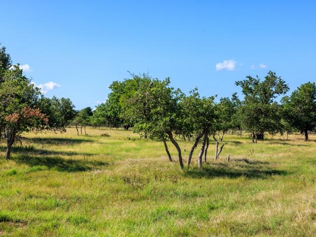 11470 N US Highway 87, Unit 1, Fredericksburg, TX 78624 | MLS #99393