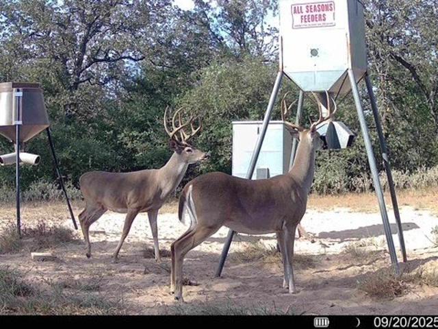1147 County Road 249, Ottine, TX 78658