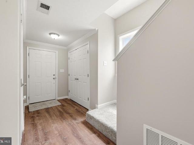 1147 Stallion Street