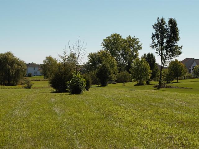 11490 Castleton Court