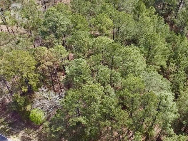 11490 Highway 55 # LOT 1AA
