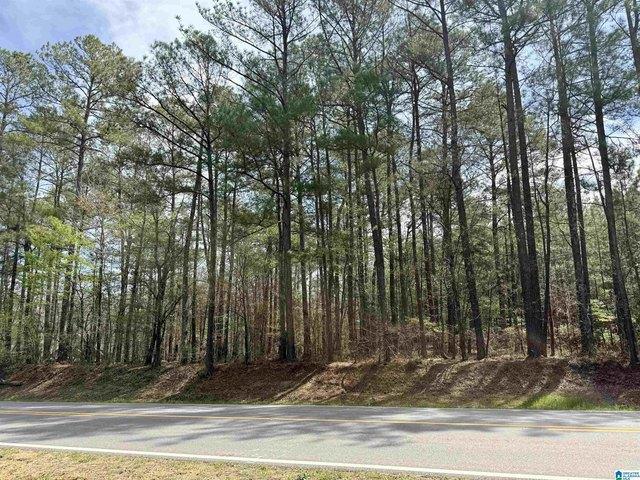 11490 Highway 55 Lot 1AA, Westover, AL 35147