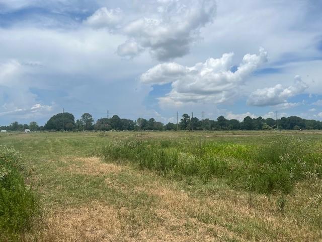 11403 Guy long Point Rd, Guy, TX 77444 | MLS #65145