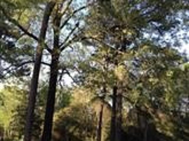 11404 Metts Rd, Conroe, TX 77306 | MLS #67108