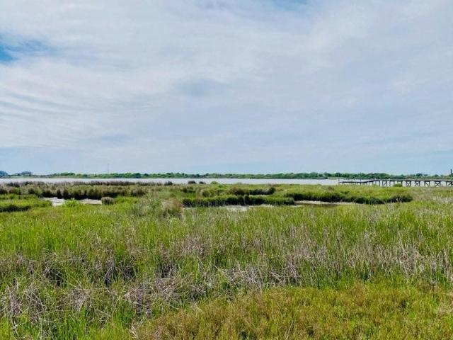 1140 E Bayshore Dr, Palacios, TX 77465 | MLS #55967