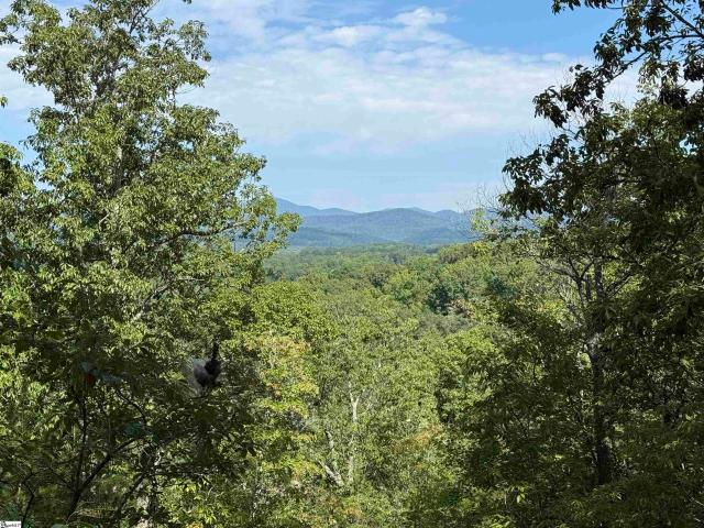 1140 Packs Mountain Ridge Road