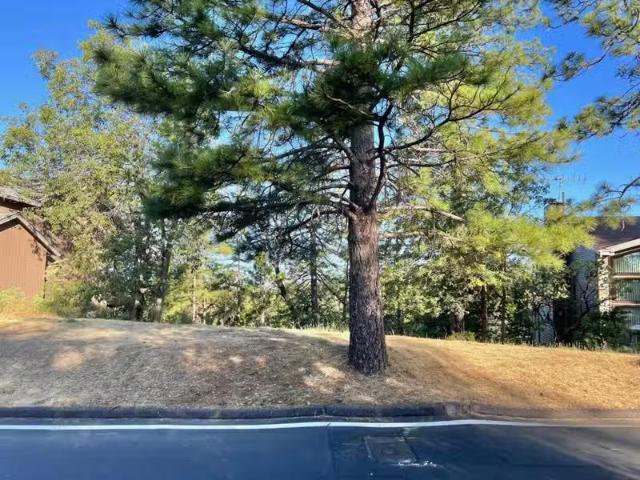 1140 SANDALWOOD DR, MURPHYS, CA 95247 Single Family Residence.