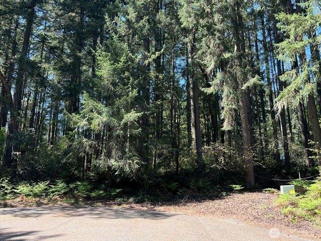 11410 rd St, Anderson Island, WA 98303