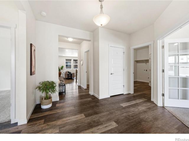 1141 E Ibex Drive