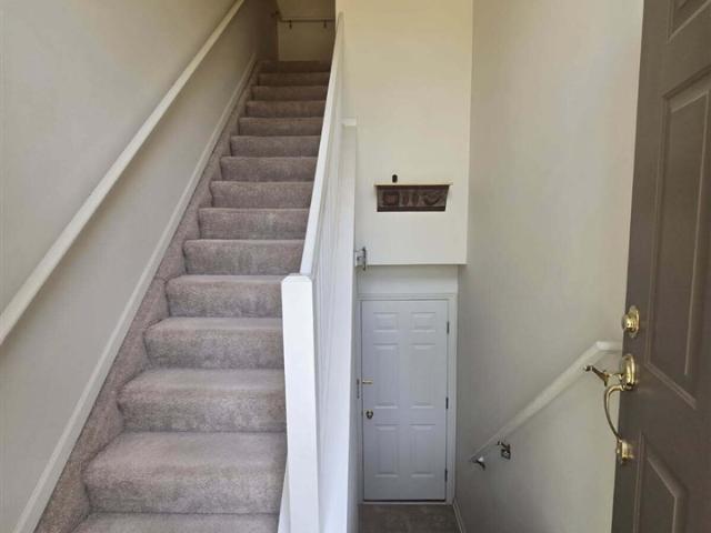 1141 Freesia Court