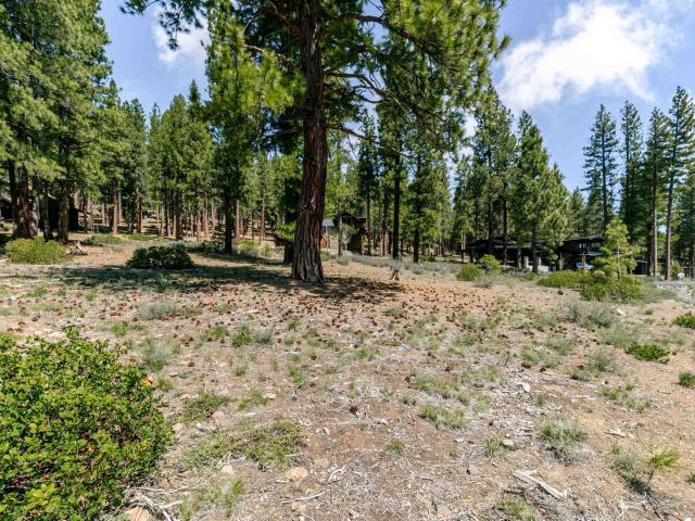 11420 Ghirard Rd, Truckee, CA 96161 | MLS #20260