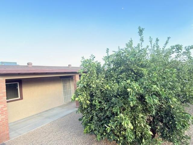 11427 N 112th Dr, Youngtown, AZ 85363