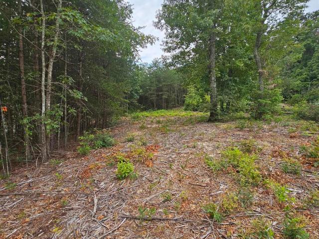 1142 Belue Mill Road