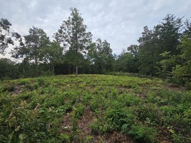 1142 Belue Mill Rd, Landrum, SC 29356