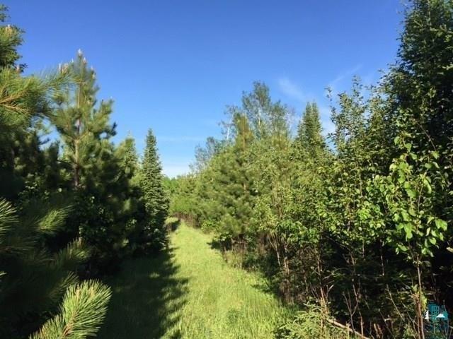 1142 Camp 20 Rd, Hovland, MN 55606