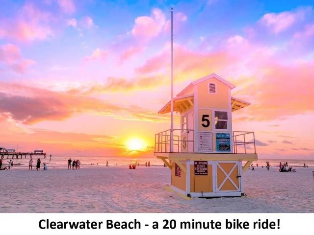 1142 Sunset Point Rd 1 Bedroom Apartment for Rent at 1142 Sunset Point Rd, Clearwater, FL 33755
