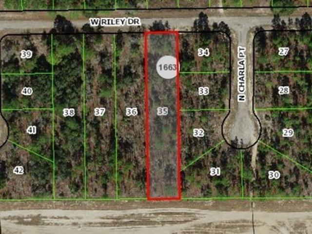 1142 W Riley Dr, Dunnellon, FL 34434