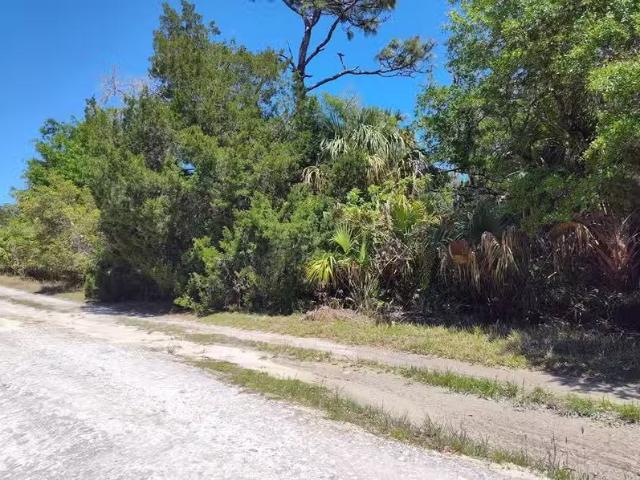 11433 N Clamdigger Terrace, Inglis, FL 34449 MLS OM676403
