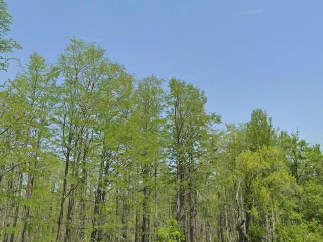 11430 Main Highway