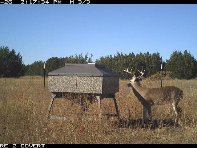 11439 Fm 1602 B