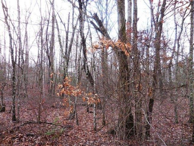 1143 Natchez, Crossville, TN 38572