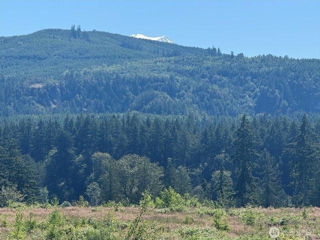114th Avenue Ct E, Eatonville, WA 98328