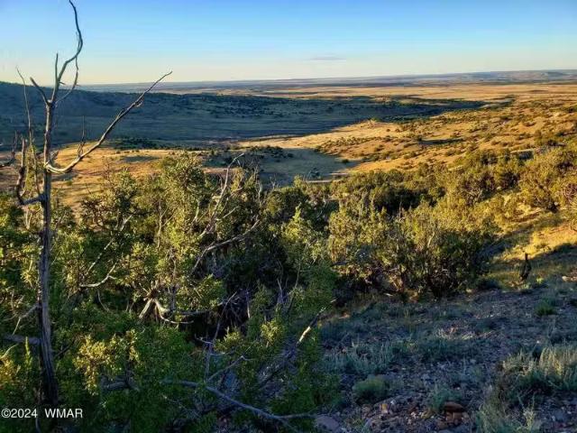 114 County Road, Concho, AZ 85924 648293082