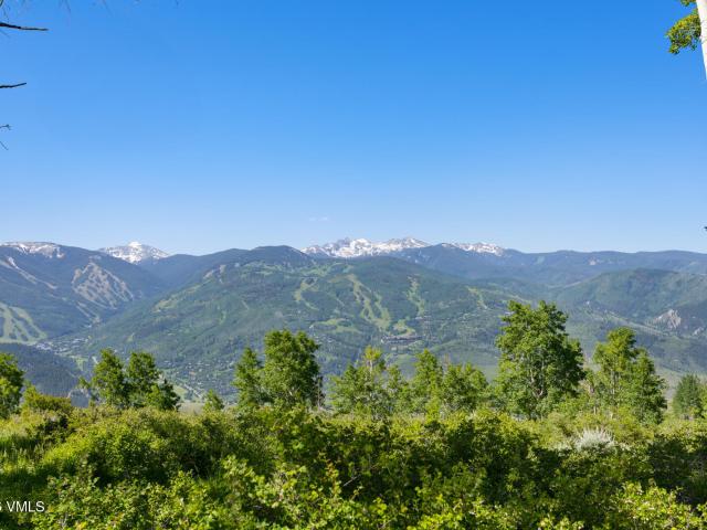 114 Goldenrod, Avon, CO 81620 | MLS #1014