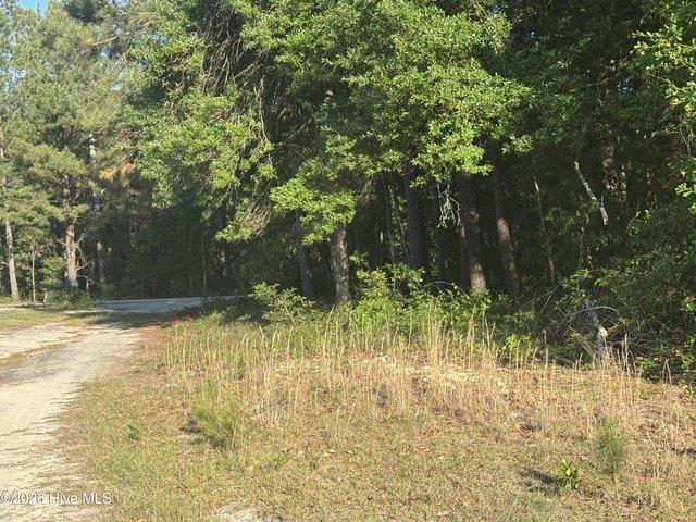 114 Green Cedar Dr, Hamlet, NC 28345