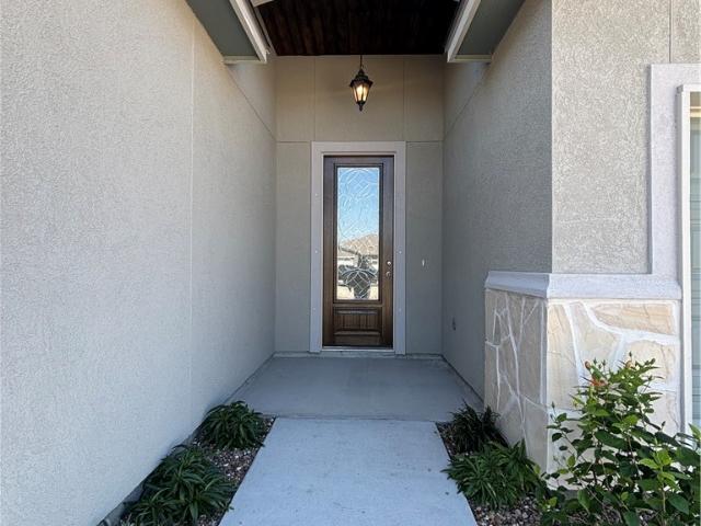 114 Guadalupe Palm